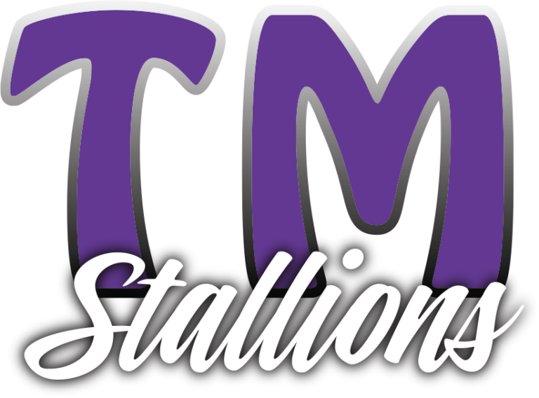 Stallions – Tom McCutcheon