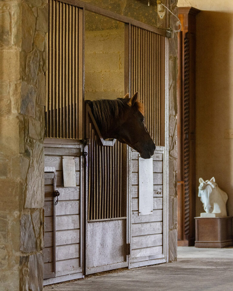 Retirement – Tom McCutcheon