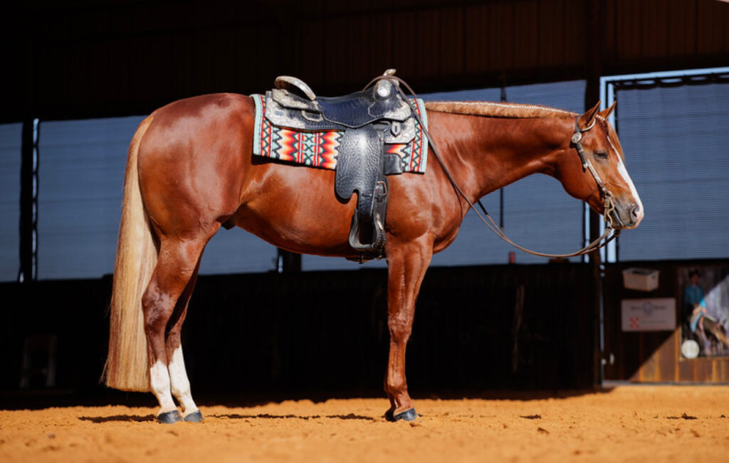 When N Where – Tom McCutcheon